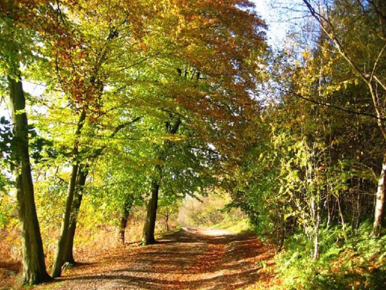The Best Scenic Walks and Trails Near Liverpool - Big Liverpool Guide